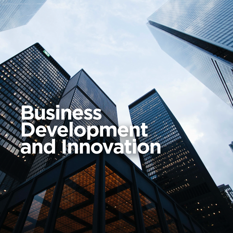 Business Development and Innovation - Pro Tunes